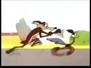 Run, Run, Sweet Road Runner | Looney Tunes Wiki | Fandom