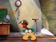 Katnip Kollege | Looney Tunes Wiki | Fandom