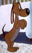 Charlie Dog | Looney Tunes Wiki | Fandom