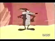 Highway Runnery | Looney Tunes Wiki | Fandom