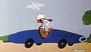 Cool Cat | Looney Tunes Wiki | Fandom