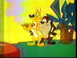 Taz Like Dingo | Looney Tunes Wiki | Fandom