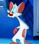 Pinky | Looney Tunes Wiki | Fandom