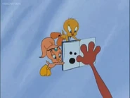 Aoogah | Looney Tunes Wiki | Fandom