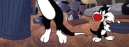 Sylvester Junior/Gallery | Looney Tunes Wiki | Fandom