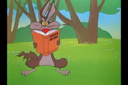 Ralph Wolf and Sam Sheepdog | Looney Tunes Wiki | Fandom