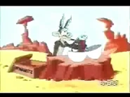 Highway Runnery | Looney Tunes Wiki | Fandom
