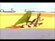 Highway Runnery | Looney Tunes Wiki | Fandom