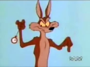 Boulder Wham! | Looney Tunes Wiki | Fandom