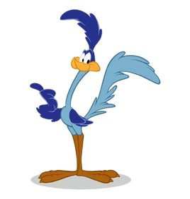 Road Runner | Looney Tunes Wiki | Fandom