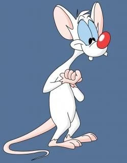 Pinky | Looney Tunes Wiki | Fandom