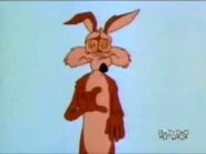 Boulder Wham! | Looney Tunes Wiki | Fandom