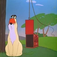 Ralph Wolf and Sam Sheepdog | Looney Tunes Wiki | Fandom