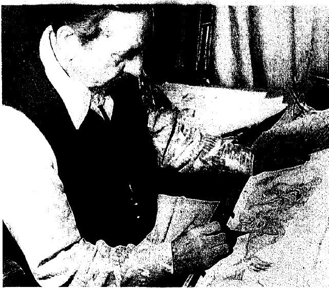 Emery Hawkins | Looney Tunes Wiki | Fandom