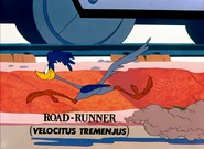 Zipping Along | Looney Tunes Wiki | Fandom