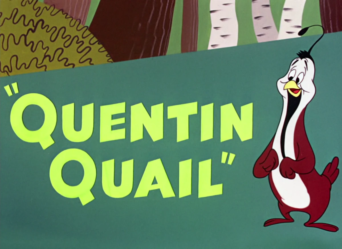 Quentin Quail | Looney Tunes Wiki | Fandom