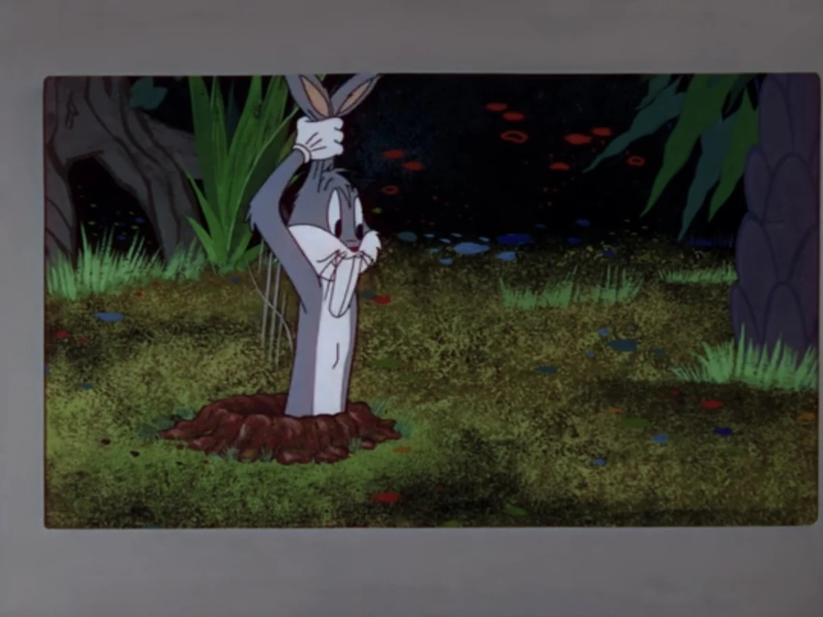 Tom Ray / Animation Gallery | Looney Tunes Wiki | Fandom