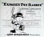 Elmer's Pet Rabbit | Looney Tunes Wiki | Fandom