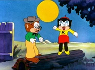 Katnip Kollege | Looney Tunes Wiki | Fandom