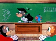 Katnip Kollege | Looney Tunes Wiki | Fandom
