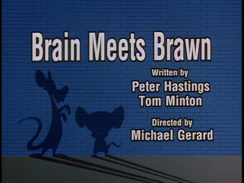 Brain Meets Brawn | Looney Tunes Wiki | Fandom