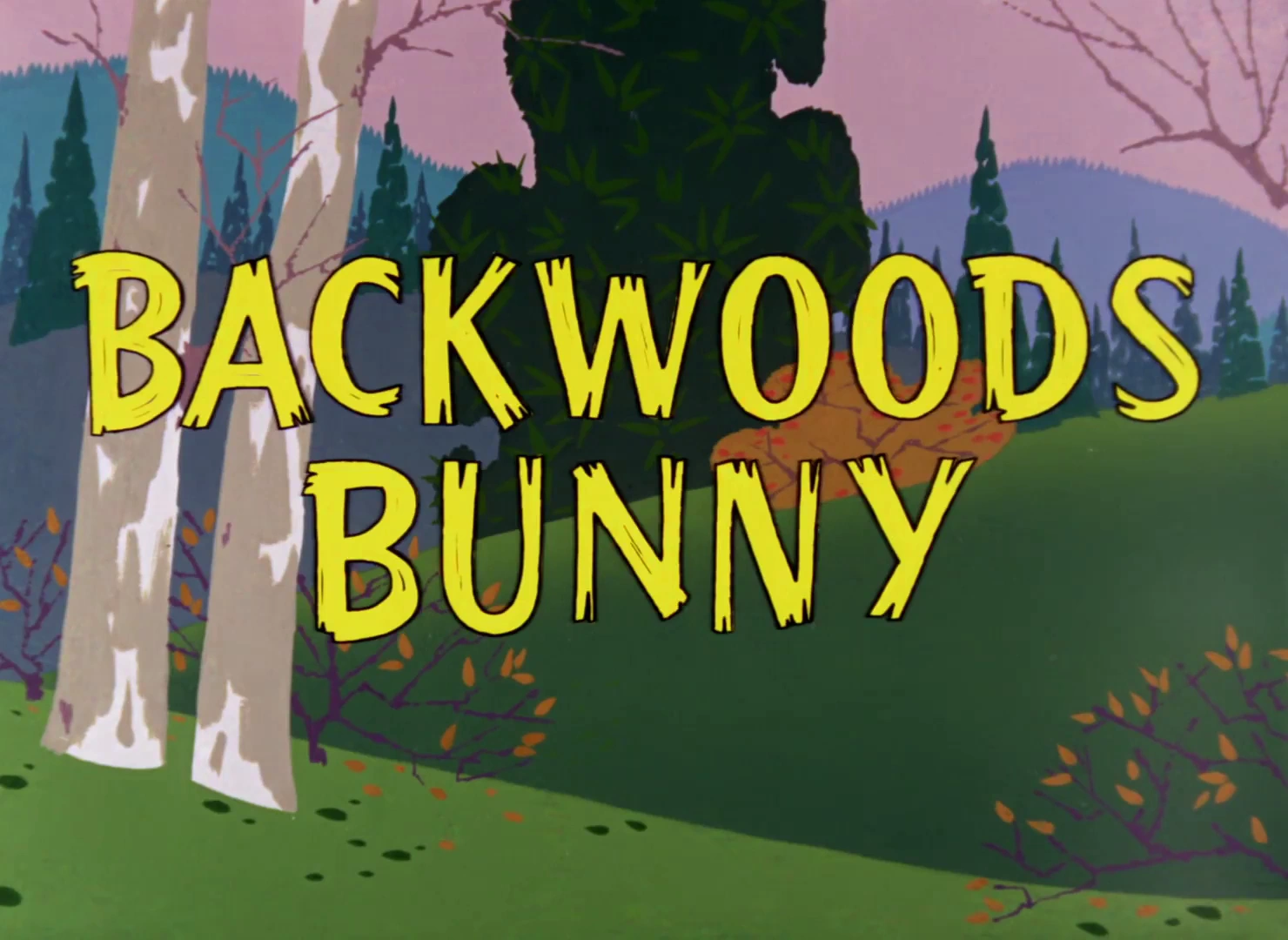Backwoods Bunny | Looney Tunes Wiki | Fandom
