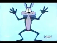 Highway Runnery | Looney Tunes Wiki | Fandom
