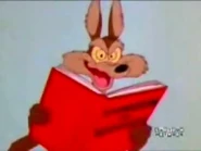 Boulder Wham! | Looney Tunes Wiki | Fandom