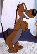 Charlie Dog | Looney Tunes Wiki | Fandom