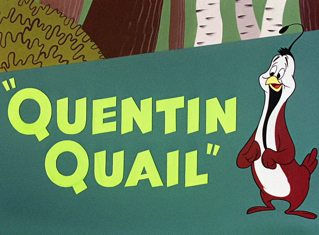 Quentin Quail | Looney Tunes Wiki | Fandom