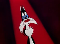 Scaredy Cat Sylvester