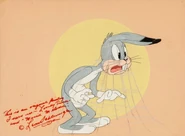 Elmer's Candid Camera | Looney Tunes Wiki | Fandom