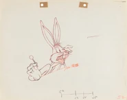 Hare Ribbin' | Looney Tunes Wiki | Fandom