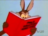 Boulder Wham! | Looney Tunes Wiki | Fandom