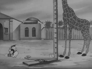 Who's Who in the Zoo | Looney Tunes Wiki | Fandom