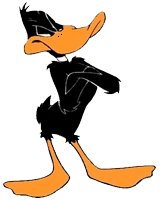 Daffy Duck | Wiki Looney Tunes | Fandom