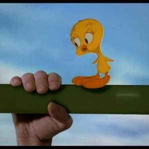 Discuss Everything About Looney Tunes Wiki | Fandom