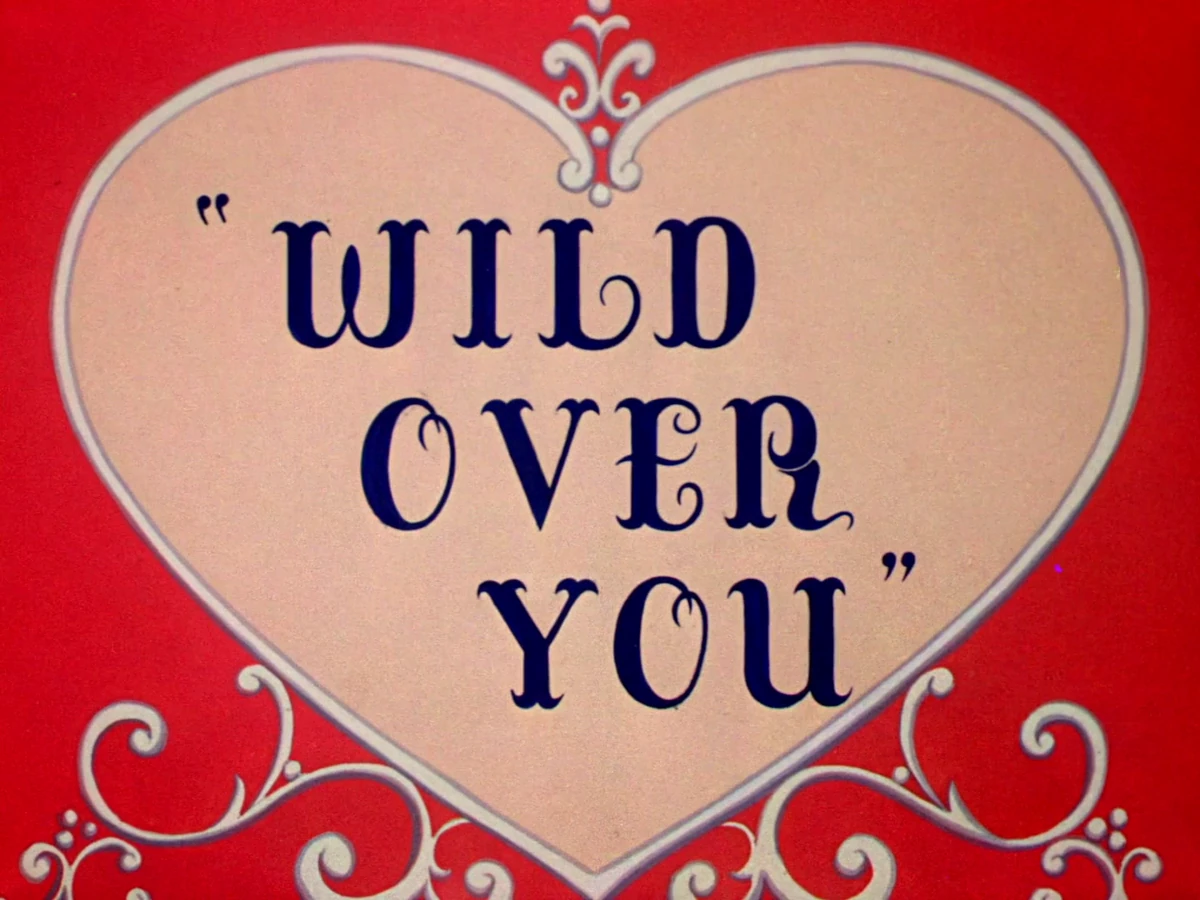 Wild over You | Looney Tunes Wiki | Fandom