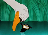 A Corny Concerto | Looney Tunes Wiki | Fandom