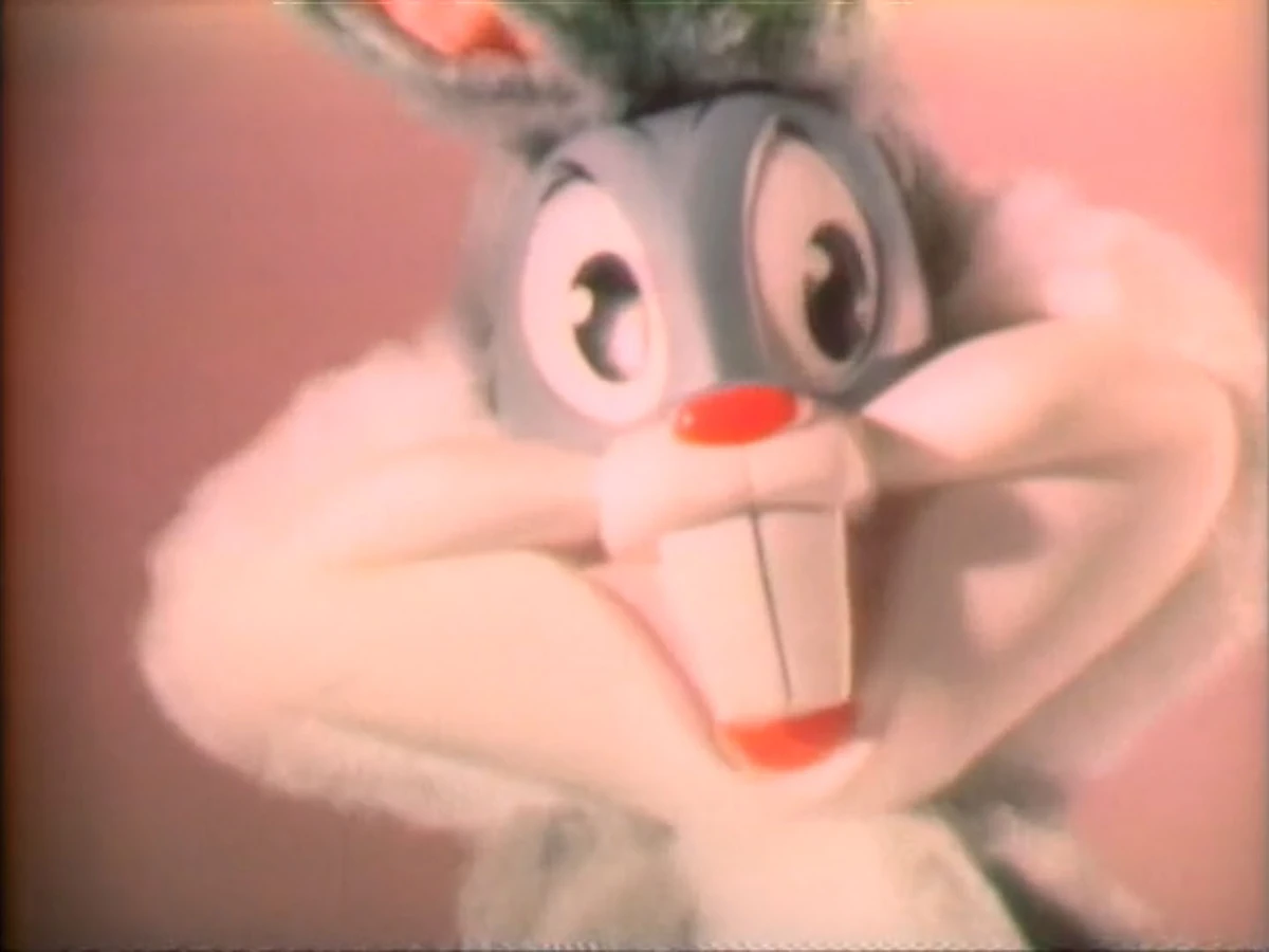 Rowan & Martin's Laugh-In | Looney Tunes Wiki | Fandom