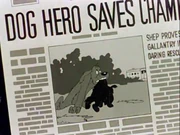 Fresh Airedale | Looney Tunes Wiki | Fandom