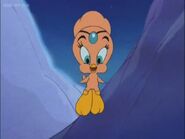 Aoogah | Looney Tunes Wiki | Fandom