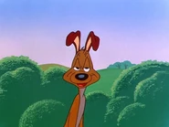 Charlie Dog | Looney Tunes Wiki | Fandom