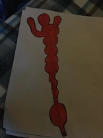 List of ACME products | Looney Tunes Fanon Wiki | Fandom