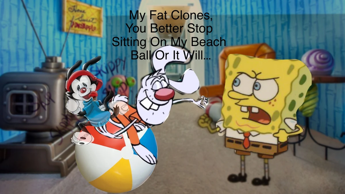 Wakko Pops One of SpongeBob's Beach Balls Without Permission/Sent to ...