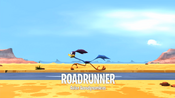 Road Runner | The Looney Tunes Show Wiki | Fandom