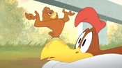 Chicken Hawk | The Looney Tunes Show Wiki | Fandom