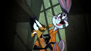 Jailbird and Jailbunny | The Looney Tunes Show Wiki | Fandom