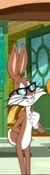 Rodney Rabbit | The Looney Tunes Show Wiki | Fandom