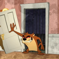 tasmanian devil tornado edelweiss